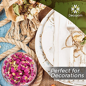 Dried Flowers and Herbs for Soap Making - 18 Varieties Rose Buds Jasmine Lavender Dry Flower Petals - Lip Gloss Witchcraft Supplies Resin Jewelry Essential Oils for Candle Crafts Nail Art Bath Bombs