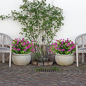 URSTOUD 6PCS Artificial Eucalyptus Flowers, Fake Artificial Greenery UV Resistant No Fade Faux Plastic Plants for Wedding Bridle Bouquet Indoor Outdoor Home Garden Kitchen Office Table Vase(Fuchsia)