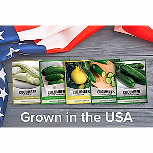 Cucumber Seeds for Planting Outdoors 5 Variety Pack Armenian, Boston Pickling, Lemon, Spacemaster, Straight Eight Veggie Seeds by Gardeners Basics