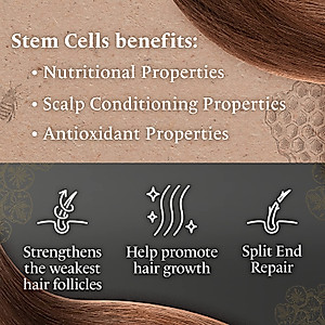 Tio Nacho Shampoo, Purifying with Royal Jelly, Infused with Botanical Stem Cells for Intense Hair and Scalp Purification + Detoxifying Balance, 14 Fluid Ounces