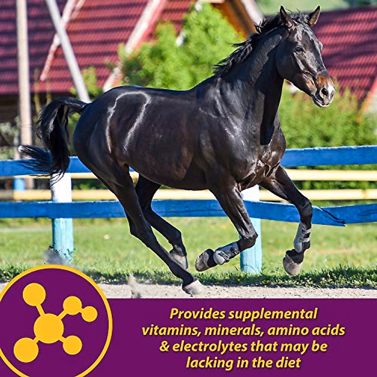 Horse Health Maxum Crumbles Concentrated Feed Supplement for Horses, Provides a Wide Range of Beneficial nutrients for Today's Equine Athlete 25 Pound