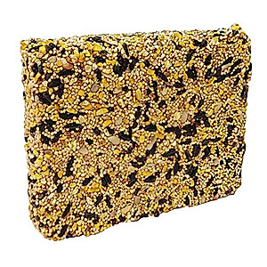 Songbird Treats Seed Bars | 8 Pack of 2 lb Bird Seed Cakes for Wild Birds (Wild Bird Buffet)