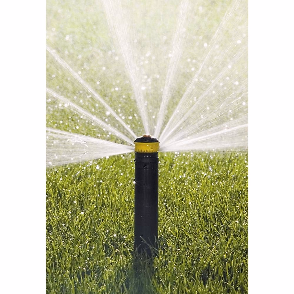 Rain Bird 22SAF Mini Rotary Pop-Up Spray, 360° Full Circle Pattern, 18' - 24' Spray Distance, 4" Pop-up Height,Blacks