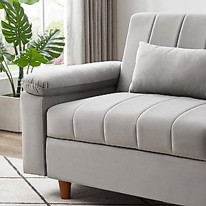 akucvor 69" Sleeper Sofa, Convertible Futon Loveseats Sofa, Sleeper Velvet Sofa Couch Bed with Storage for Living Room Bedroom, Pokcets, Gray