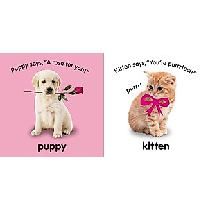 Baby Touch and Feel I Love You