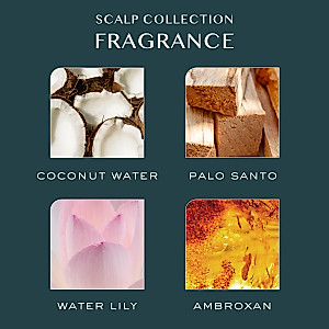 Kristin Ess Hair Instant Exfoliating Scalp Scrub for Build Up and Dandruff + Soothing, Hydrating + Rebalancing Dry Scalp Treatment, Non Drying, Cleanse + Detox, Vegan, Color Safe, 6.7 fl oz