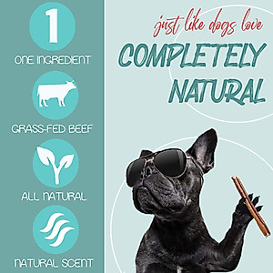 BullyBae 6" Natural Bully Stick Dog Treats - Healthful Dog Chews (Medium 15 Count)