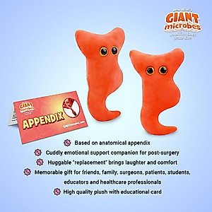 GIANTmicrobes Appendix Plush, Appendix Surgery Gift, Appendix Stuffed Animal, Appendix Gifts, Appendix Plush Toy, Appendicitis Gift, Appendectomy Gift, Appendix Removal Gift, Surgery Recovery Gifts