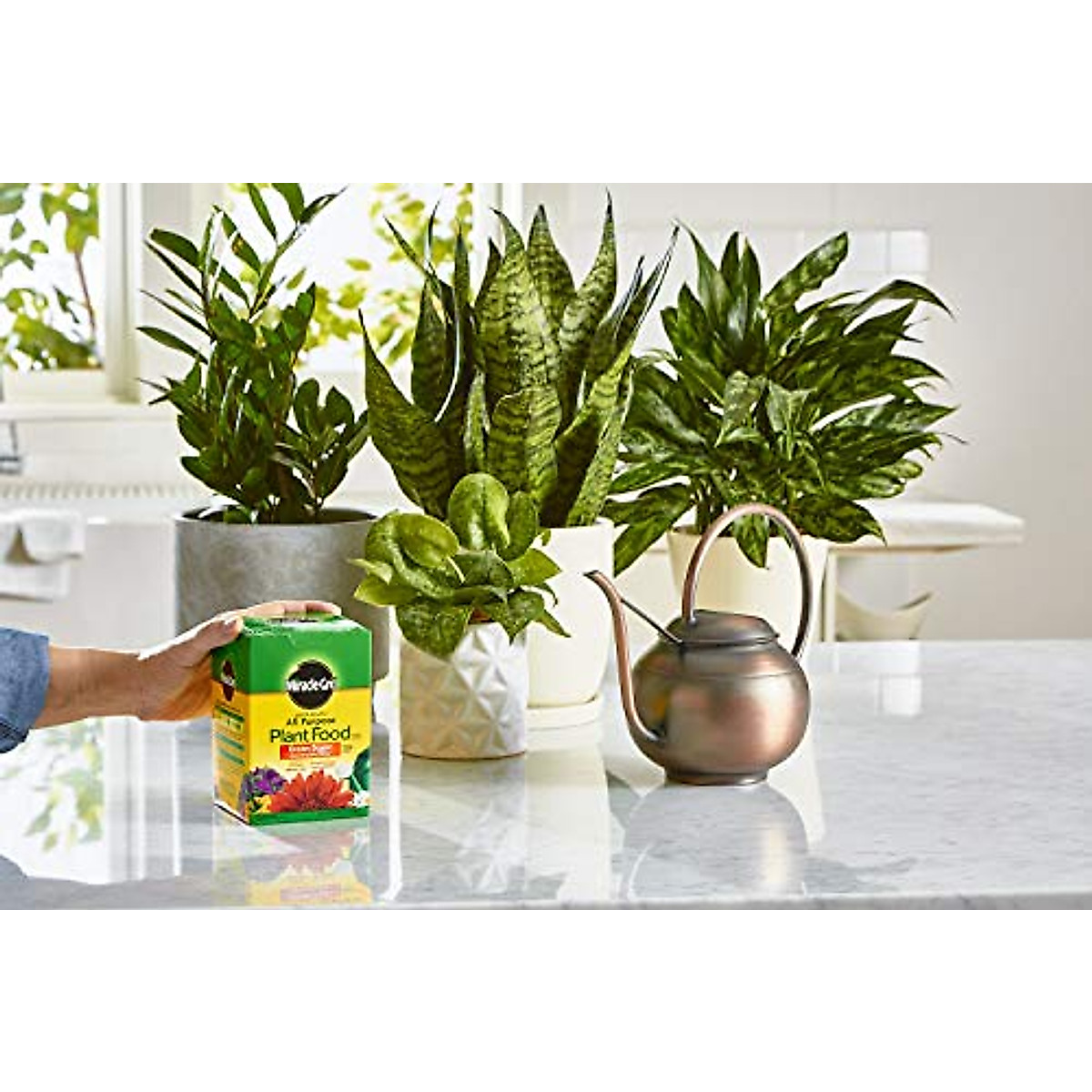 Miracle-Gro 2001123 All Purpose Plant Food Plant Fertilizer (6 Pack), 1.5 lb