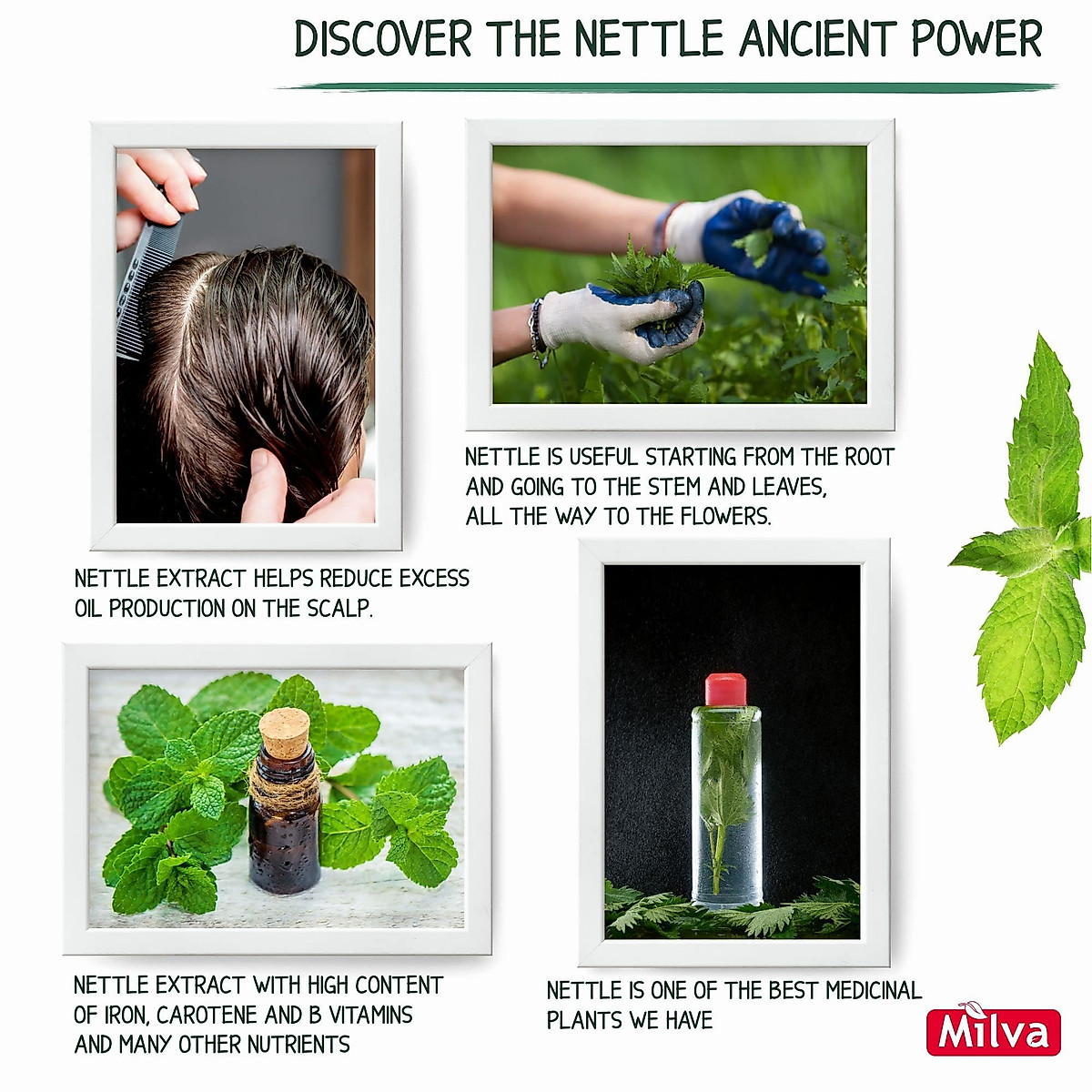 Nettle Shampoo - Helps Regulate Sebum Production, Reduce Dandruff & Ease Scalp Irritation - For Strong, Healthy Hair- 200ml