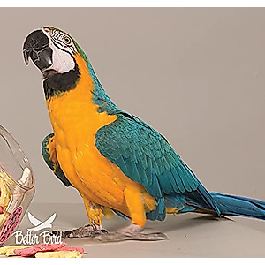 Better Bird, Premium Parrot Food, 4 lb Jar