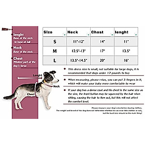 DeerBAO Puppy Plaid Hoodie pet Clothing cat Hoodie Fashionable and Cute for Small Dogs Small Cats (Small)