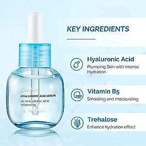 ZealSea 2% Pure Hyaluronic Acid Serum for Face with Vitamin B5, Hydrating Serum to Smooth Dry and Sensitive Skin, Deep Moisturizing Face Serum for Women, Anti-Aging Facial Serum for Fine Lines, 1 Fl Oz