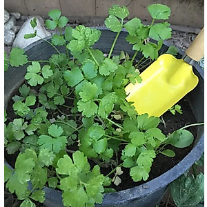 Kid Gardening Tool Shovel Yellow Garden Snow Sand Shovel for Kids 5pcs