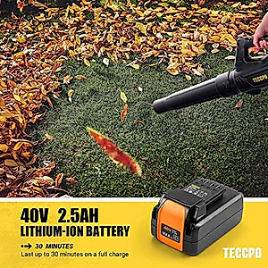 TECCPO 40V Cordless Leaf Blower Brushless, 420 CFM/110 MPH, 2.5Ah Samsung Battery and Charger Included, Fast Installation, 5-Speed Axial Blower, for Lawn Care and Snow Blowing -TDLB4025A