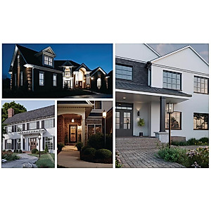 Progress Lighting P5432-31 BrassGUARD Lantern Outdoor, Black