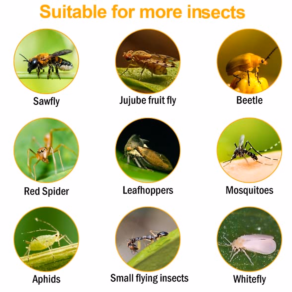 Dwcom 20PCS Sticky Fly Strips, Fly Paper Roll Hanging, Fly Tape Trap Ribbon, Gnat Mosquito Catcher Killer Indoor&Outdoor