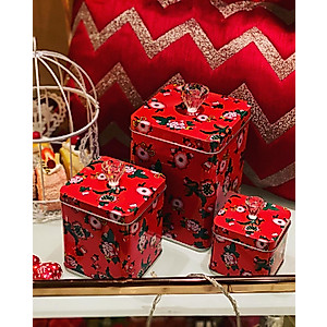 hadaaya Square Red Tin Can Empty Cube Steel Box Storage Container with Crystal Knob for Powder Treats, Gifts, Favors, Loose Tea, Coffee and Crafts, Mini Portable Small Storage Kit, Valentine Day Gift