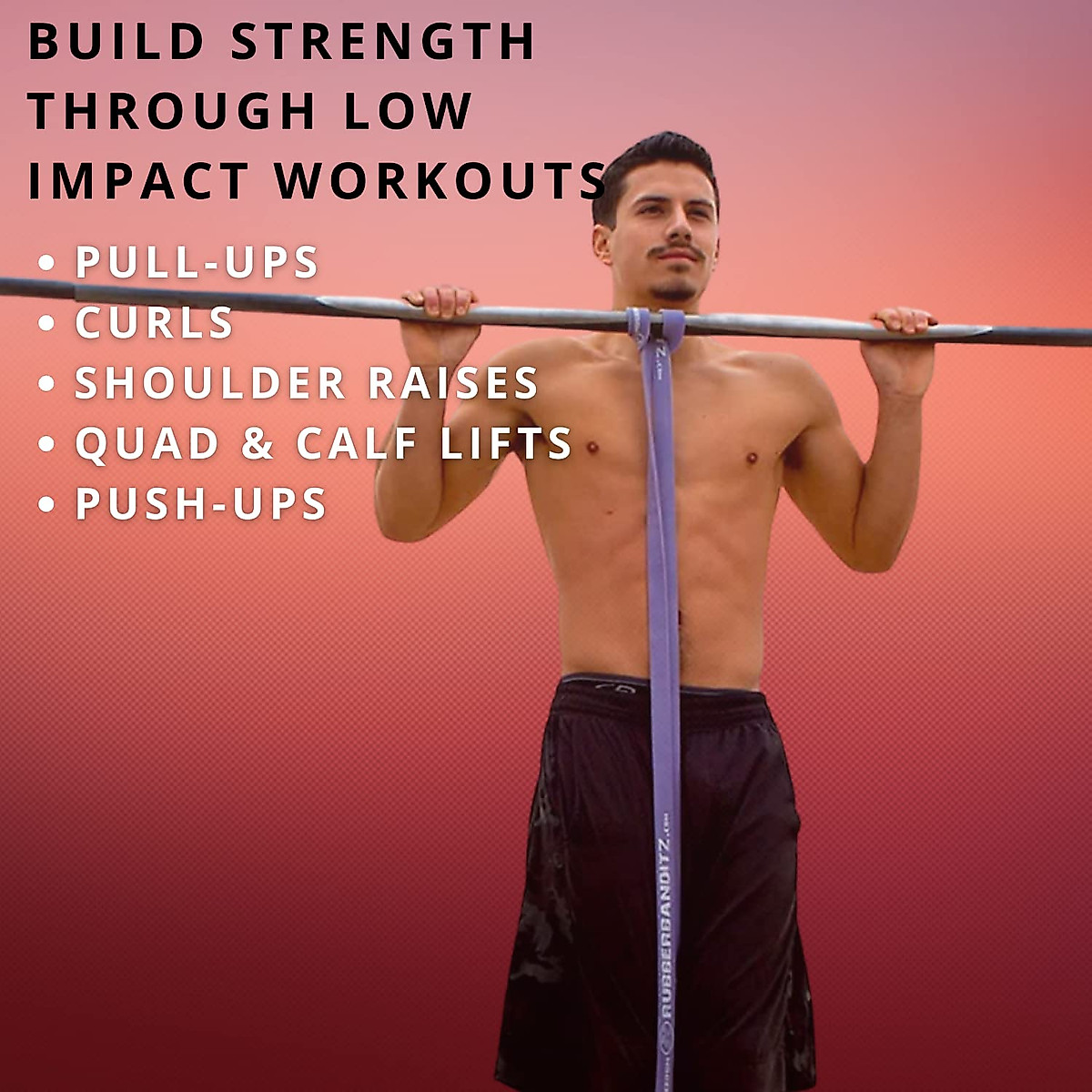 Functional Fitness Pull Up Assist Resistance Bands | Heavy Duty Exercise Bands for Powerlifting, Mobility, and Stretching | Travel Friendly Resistance Bands for Workout (Purple, Pink)