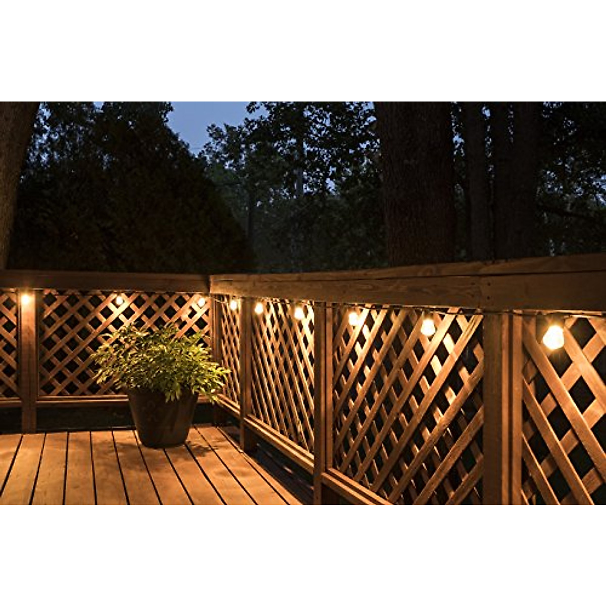 Lights By Night LED Bistro String Lights 12 ft | 6 Shatter Resistant Lifetime Bulbs, 2200K Warm White, Weather Resistant, Indoor/Outdoor, Commercial Grade, Perfect for Backyard, Porch, Patio, 38353