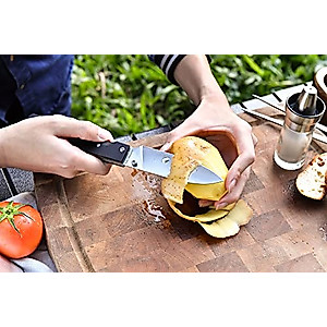 ZhengSheng 4.5" Folding Utility Knife 440A Stainless Steel Blade G10 Handle Pocket Foldable Fruit knife peeling knife for Outdoor Camping Activities