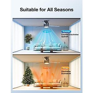 warmiplanet Flush Mount Ceiling Fans with Lights and Remote Control, 52-Inch,3 CCT Dimmable Light, Reversible Noiseless 6 Speeds DC Motor, Timer, Antique Nickel, 3-Blades