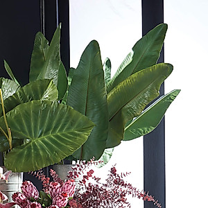 Napa Home & Garden Strelitzia Leaf 63" Bundle/2