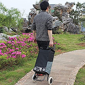 Shopping Trolley on Wheels Multi Function Shopping Cart Portable Collapsible Bag Small Trailer Luggage Cart Travel Trolley Storage Hand Trucks,H ,