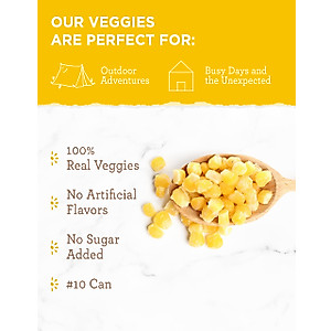 READYWISE - Simple Kitchen, Freeze-Dried Corn, 23 Servings, MRE, Emergency Food Supply, Gluten Free, Corn, Freeze Dried Corn, Freeze Dried Food, Canned Food, Camping, Survival Food, 10 Can