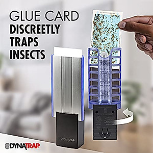DynaTrap DT3009-1003P Flylight Indoor Plug-In Fly Trap for Flies, Fruit Flies, Moths, Gnats, & Other Flying Insects – Protects up to 600 Sq Ft