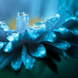 Nature's Sunshine Lymphatic Drainage, 2 Fl. Oz | Lymphatic Drainage Supplement Promotes the Efficient Drainage of the Lymphatic System to Promote Overall Health