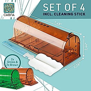 CAONA LLC Humane Mouse Trap - Set of 4 Humane Mouse Traps Indoor for Home [2X Green, 2X Brown] - Animal Friendly Live Mouse Trap -Mouse Traps - Set Includes a Cleaning Stick