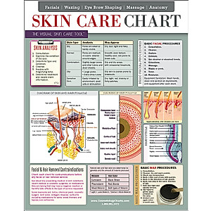 Ciao Bella Enterprises Skin Care Chart - 2 - Sided Laminated - Quick Reference Guide - Covers Skin Care Services, From Skin Analysis, Facials, Waxing, Eye Brow Shaping, Massage & Anatomy.