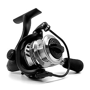 Ashconfish Spinning Reel, Saltwater Spinning Fishing Reels, Ultra Lightweight Body, 8 Stainless Steel BB, 5.0:1 Gear Ratio, Max 17.6lbs Drag, Come with 100m Braided Line
