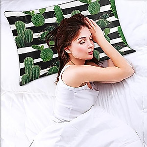 Cactus Stripes Satin Pillow Cases Silk Satin Pillowcase for Hair and Skin Standard Set of 2 Super Soft Silk Pillowcase with Envelope Closure (20x26 in)
