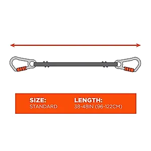 Ergodyne - 19822 Shock Absorbing Tool Lanyard with Two Self-Locking Carabiners, Tool Weight Capacity 10lbs, Squids 3110, Gray, Standard (3110F(x))