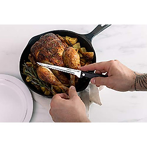 Ginsu Kiso 18-Piece Black Knife Set with Natural Block - Dishwasher Safe and Always Sharp