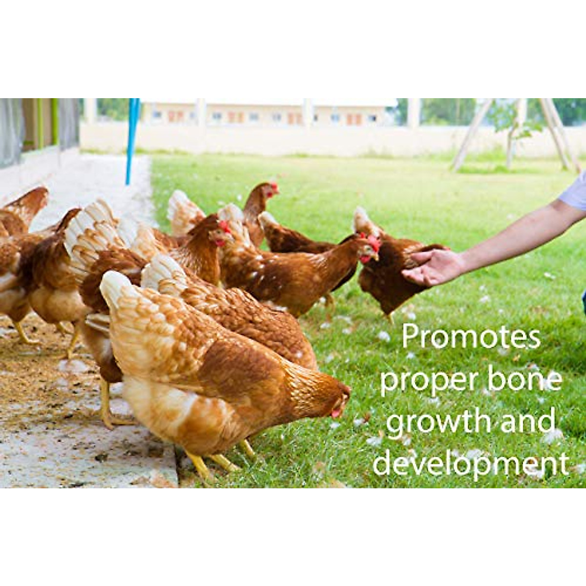 Family Farm and Feed | Brewers Yeast | Animal and Pet | Young and Adult | Granular | 4 Pounds