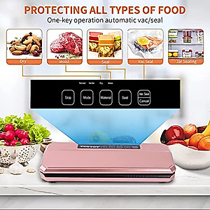 YOVYOV Vacuum Sealer Machine, 80kPa Vacuum Sealer Machine with Starter Kits, Vacuum Air Sealing System for Food Preservation, Dry & Moist Food Modes, Compact Design (Rose Gold）