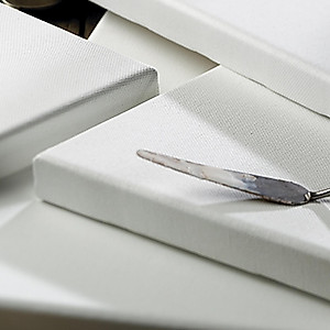 Winsor & Newton Professional Cotton Canvas, 8" x 10" Deep Edge