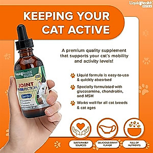 LIQUIDHEALTH 2.3 Oz Liquid Cat Glucosamine Joint Purr-Fection - Hip and Joint Health Relief Support, Chondroitin Feline Droppers -Senior Older Cats, Kittens - (2 Pack)