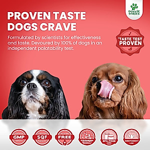 Doggie Dailies Bundle - 5-in-1 Multivitamin & Bladder Support Soft Chews