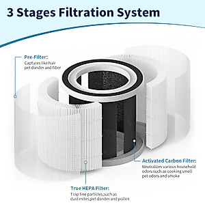 Breabetter BREEVA A1 True HEPA Replacement Filter Compatible with TCL Purifier BREEVA A1/A1W, Part # Breeva A1F（2-Pack）