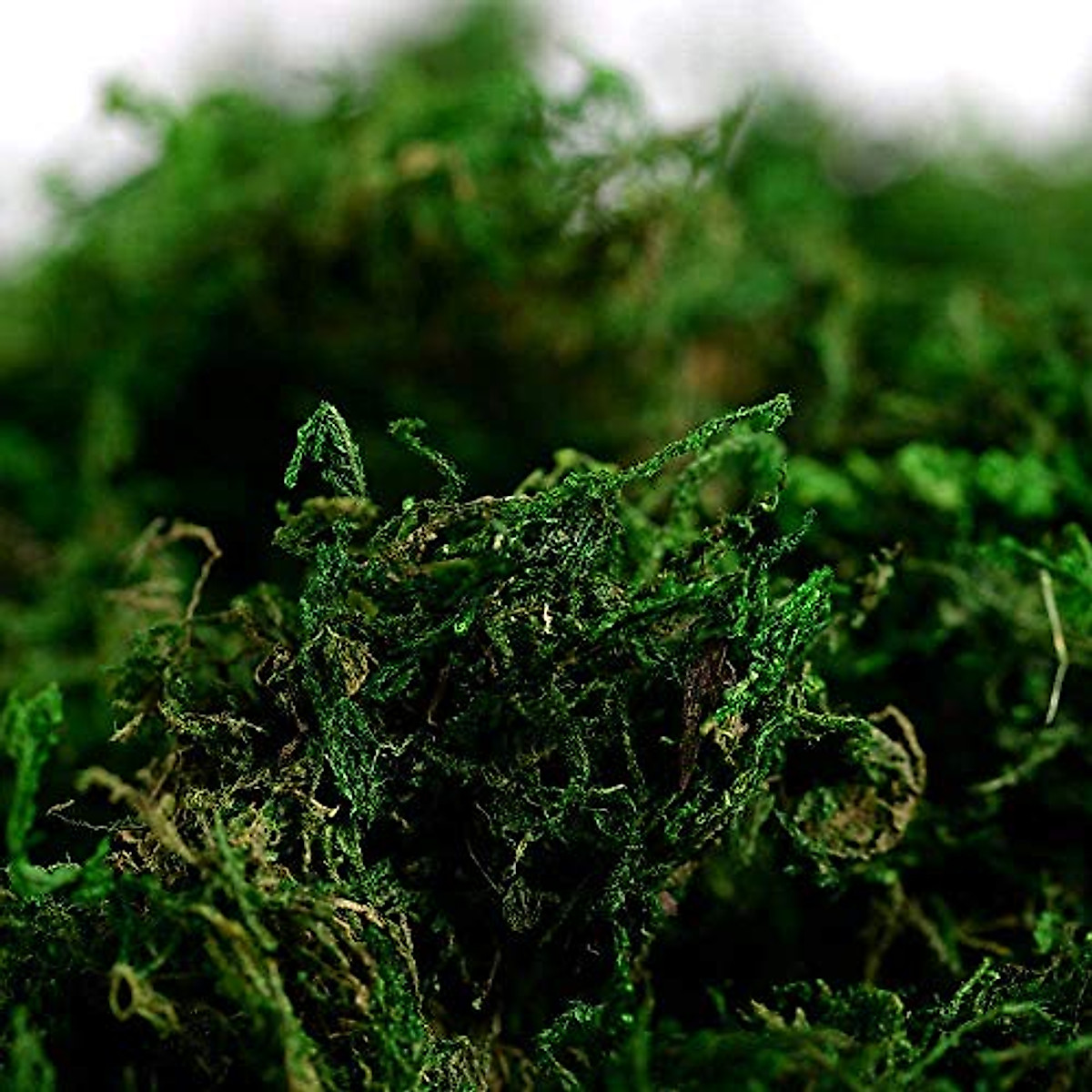 Farmoo Fake Moss for Crafts, Artificial Green Moss for Potted Plants Centerpieces Decor (3.5OZ)