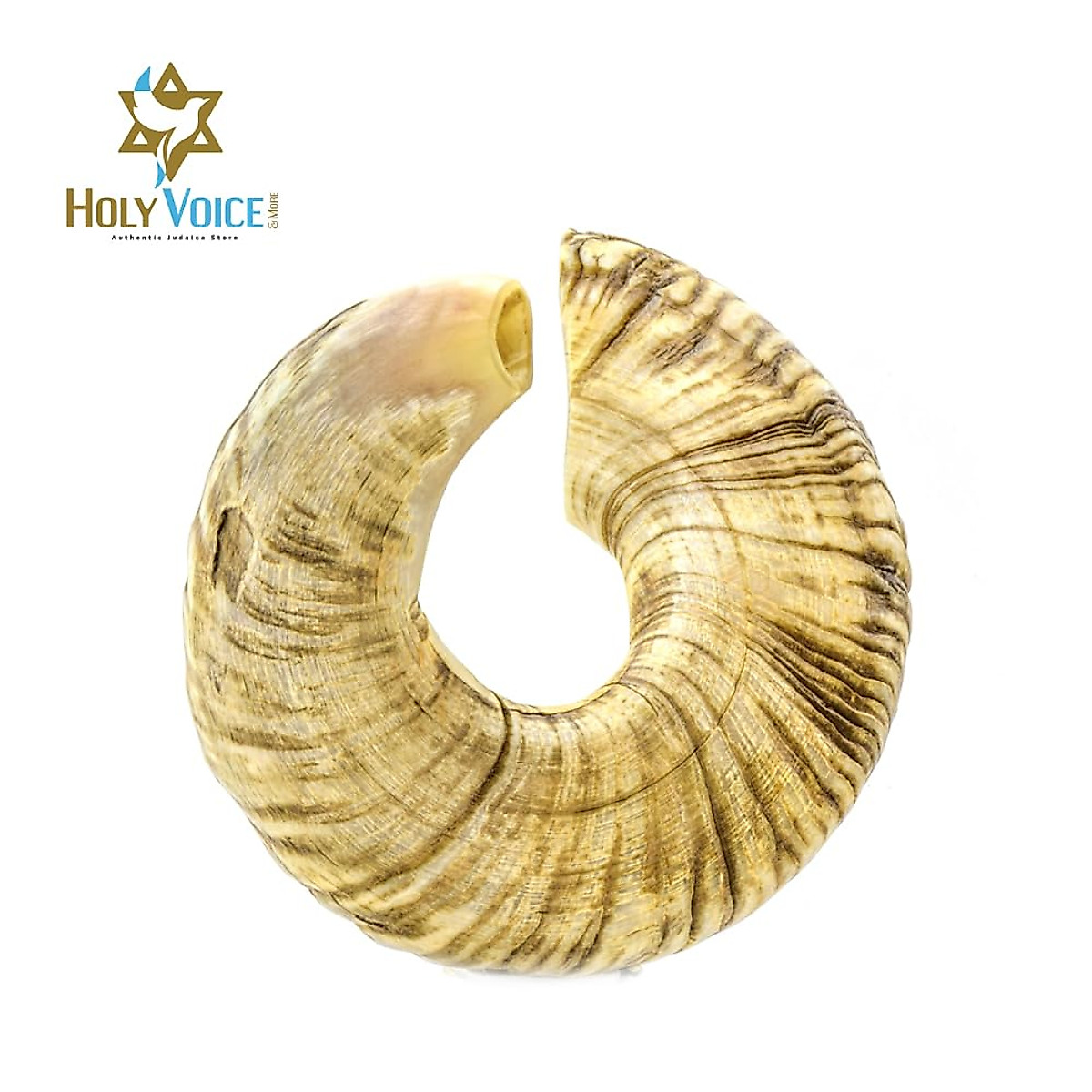 Holy Voice Yemeni Shofar Horn from Israel - Yemeni 24"-26" Shofar with Shofar Stand, Carrying Bag, Brush, Anti-Odor Spray – Made in Israel.