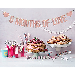 6 Months of Love Banner, Half Way to One Banner, Happy 6 Month, Half Birthday Decorations, 1/2 Birthday Baby Shower Party, First Birthday Party Supplies Rose Gold Glitter
