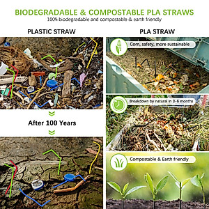 Plasticless 100 Pcs PLA Disposable Drinking Straws Corn Plant Based Biodegradable Straws, BPA Free Compostable Stir Sticks Black Straws, Reusable Straws Alternative to Plastic Straws for Party Drinks
