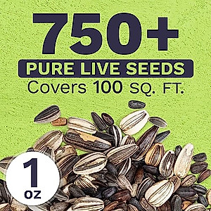 Sunflower Variety Mix 10 Types of Beautiful Sunflowers - Bulk 1 Ounce Packet - Open Pollinated Sunflower Seeds