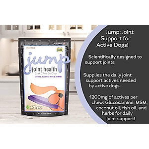 In Clover Jump Soft Chews for Daily Joint Care and Endurance Support for Dogs