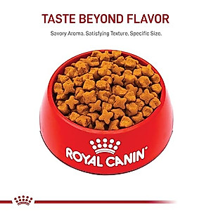 Royal Canin® Breed Health Nutrition German Shepherd Adult 5+ Dry Dog Food, 28 lb